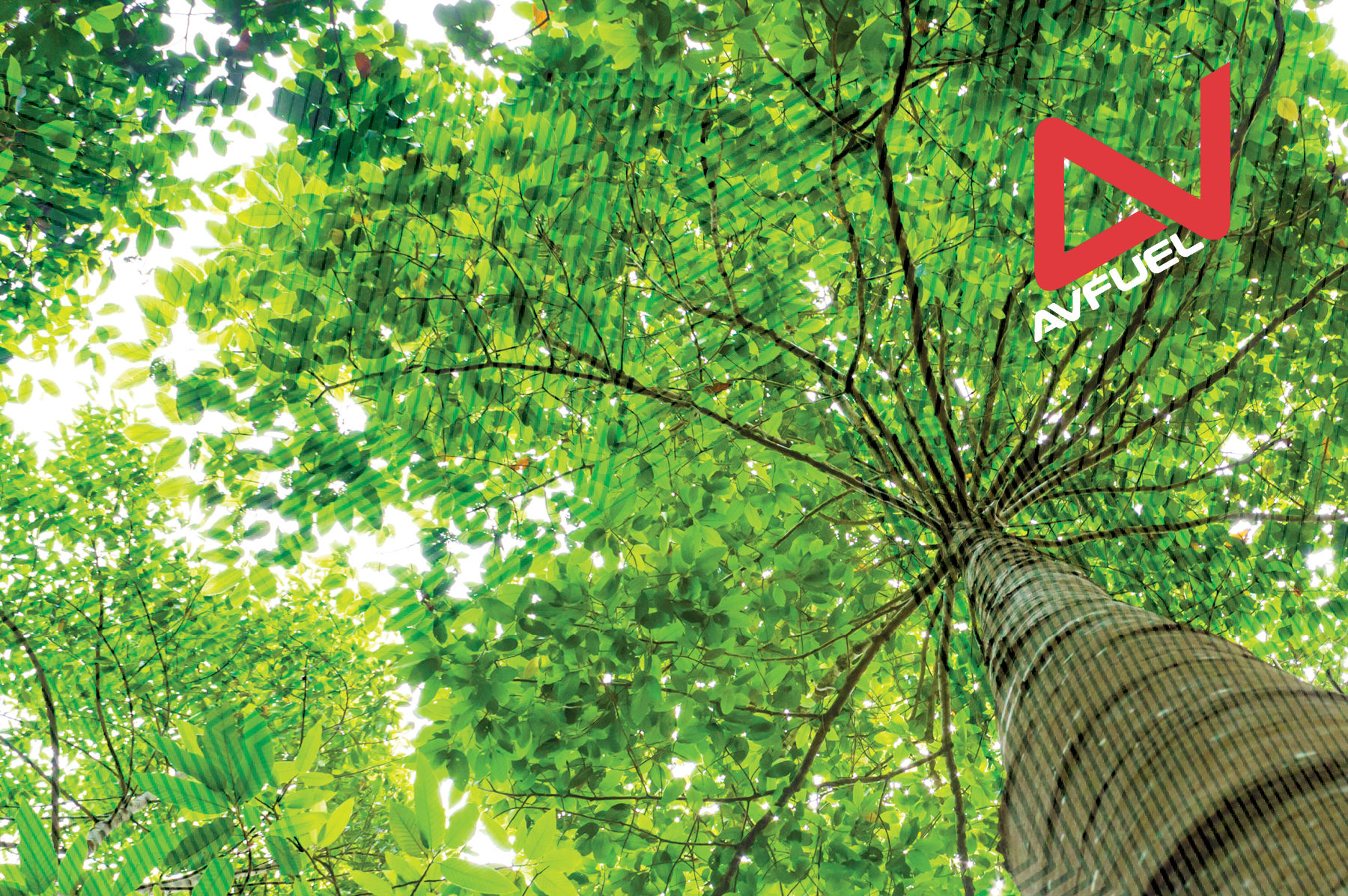 Avfuel helps operators cancel emissions with carbon offsets | Business ...