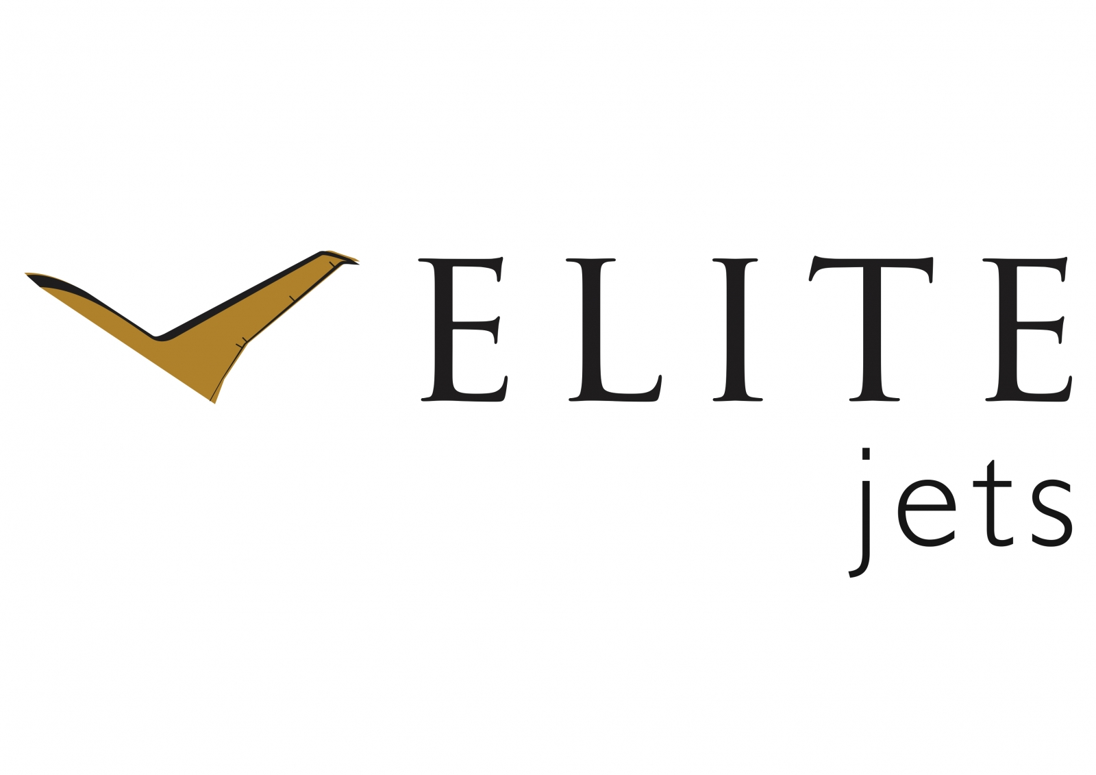 Elite Jets adds 7 aviation professionals to team | Business Airport ...